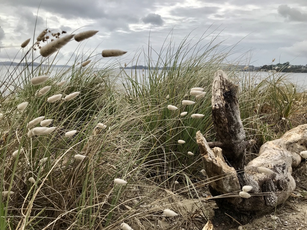 The Invitation to Dance… – Heather Pound