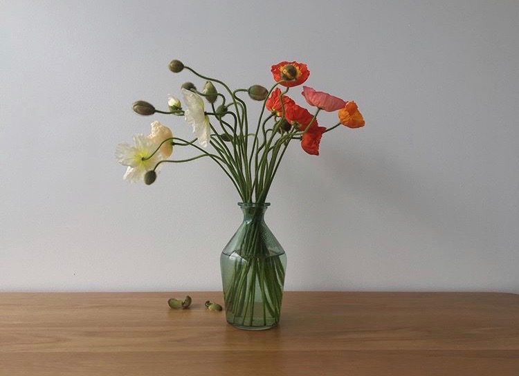 We Get to Choose…. – Heather Pound