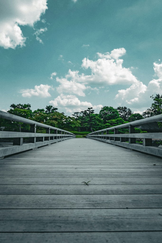 Heather Pound – thoughts about the journey……